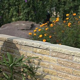 Strata Paving _ Raj - WALL COPING / PATH EDGING