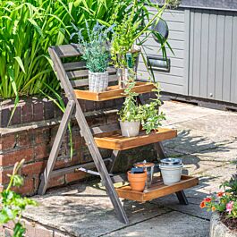 Rowlinson Alderley Hardwood Plant Ladder