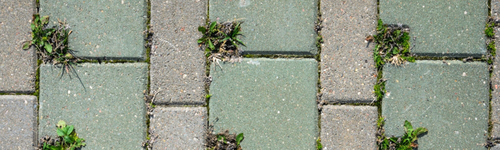 How to Repair Your Paving
