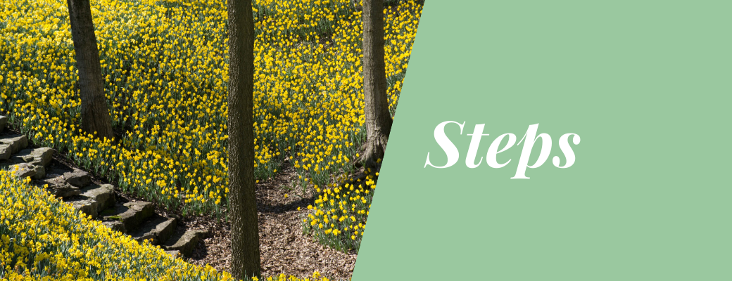 5 Garden Layouts for Spring